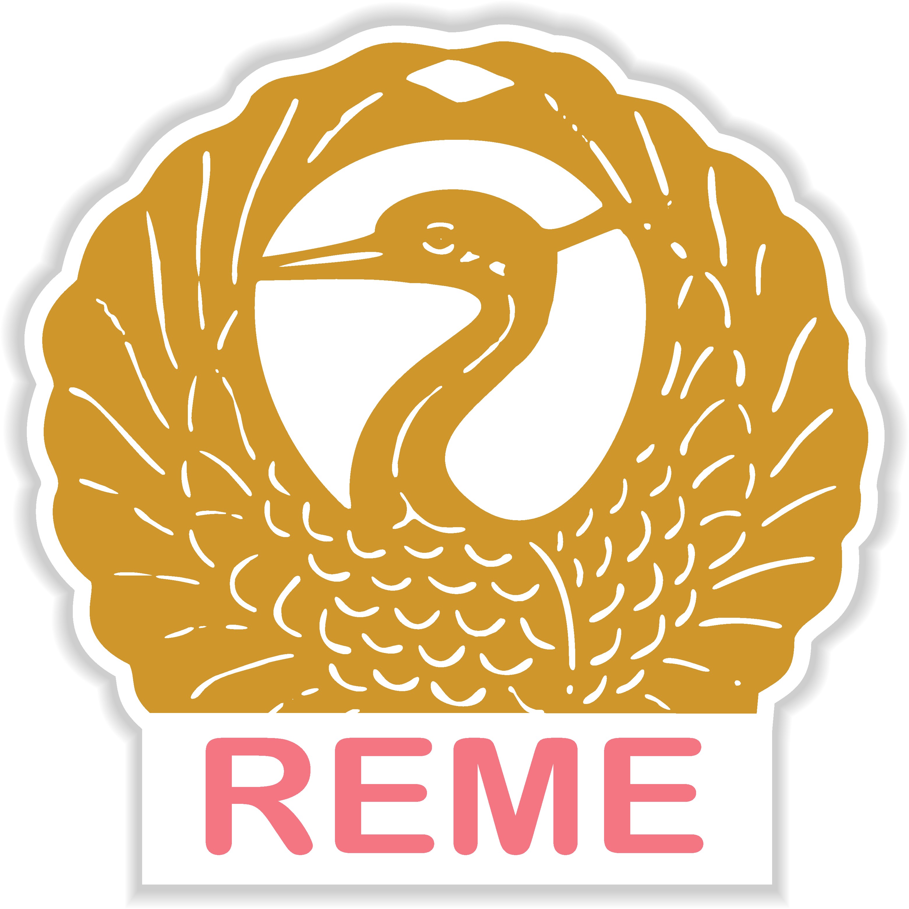 Reme Designs Online Store - Shop latest Reme Bottoms, Dresses, Kurtas ...