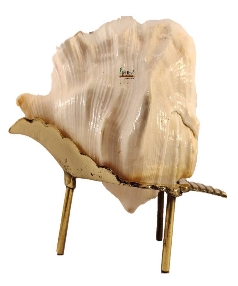 Natural Blowing Panch mukhi shankh for Pooja Conch Shell with Brass ...