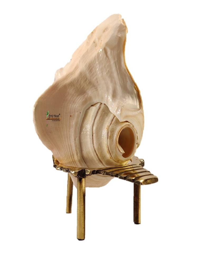 Natural Blowing Panch mukhi shankh for Pooja Conch Shell with Brass ...