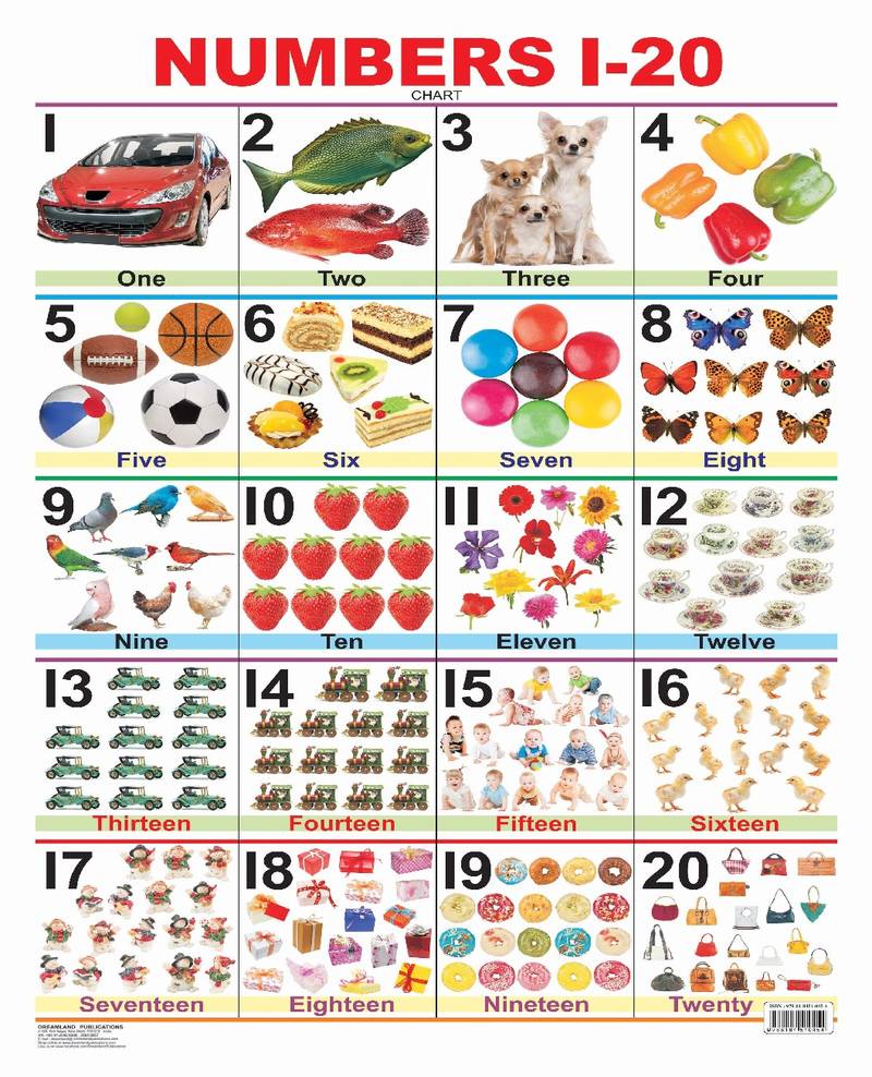 Numbers 120 Reference Educational Wall Chart by Dreamland Publications ...