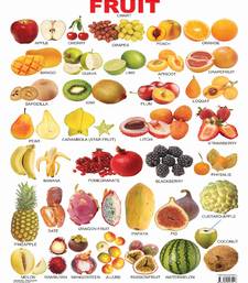 Fruits All in One Reference Educational Wall Chart by Dreamland ...