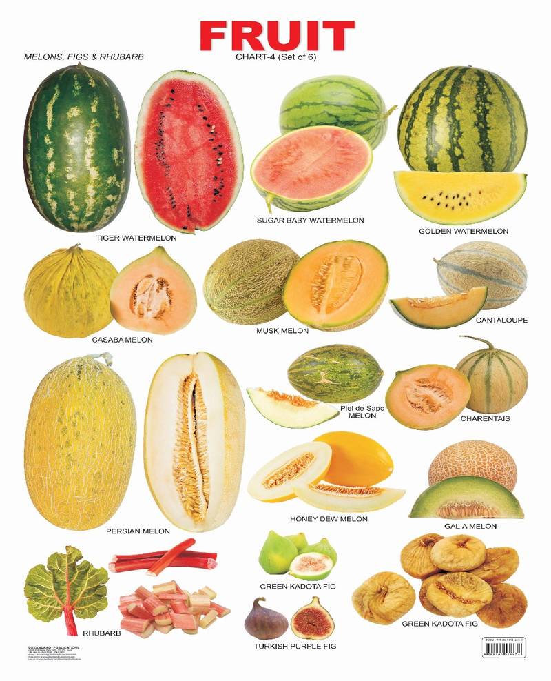 Fruit Chart 4 Reference Educational Wall Chart by Dreamland ...