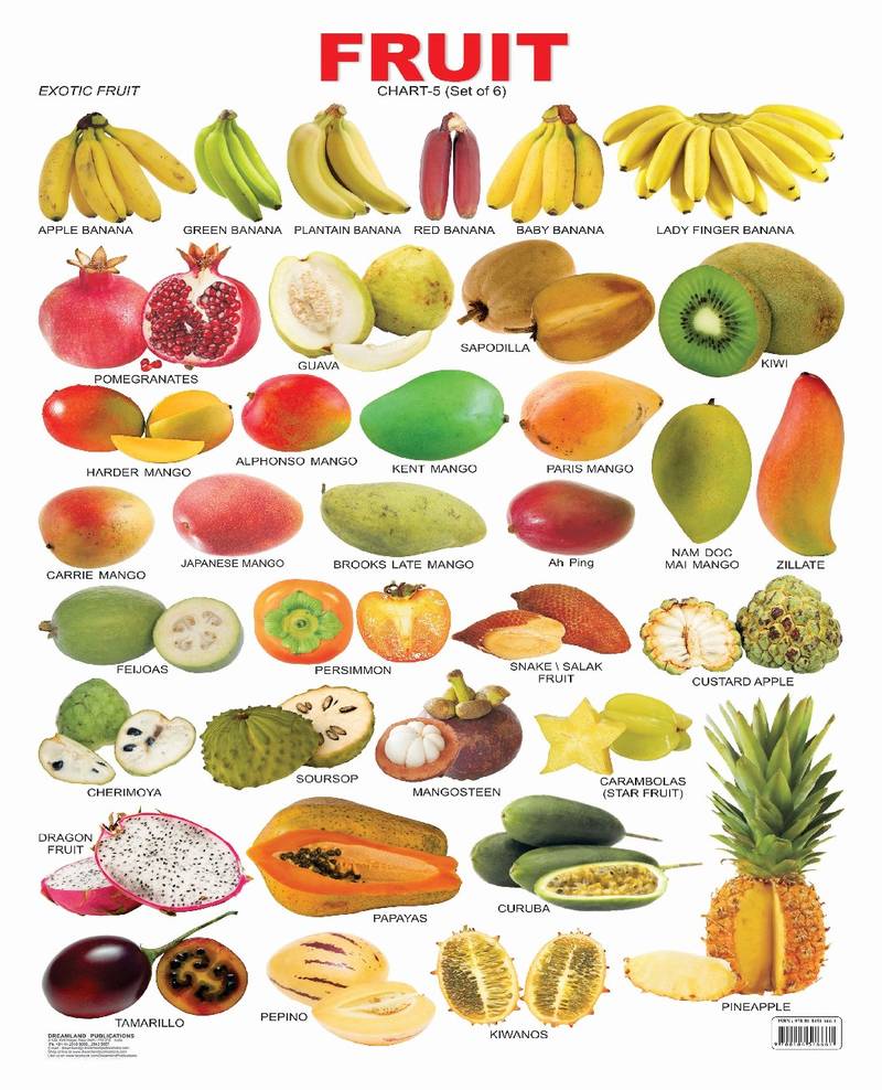 Fruit Chart 5 Reference Educational Wall Chart by Dreamland ...