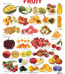 Fruit Chart 6 Reference Educational Wall Chart by Dreamland ...