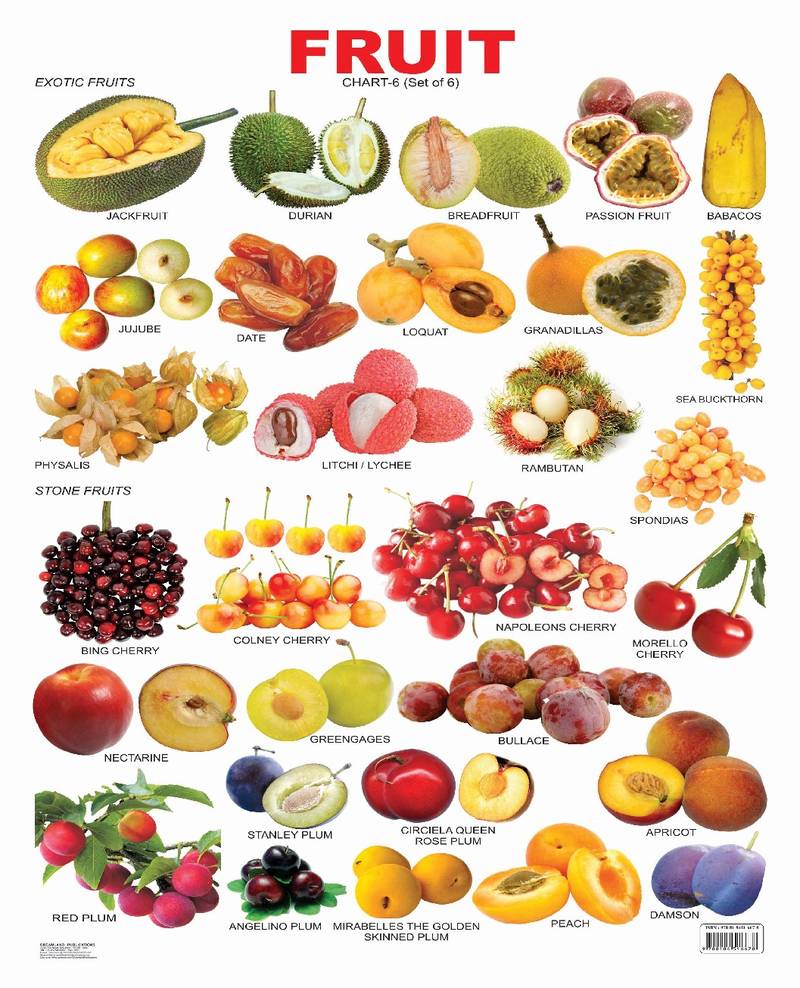 Fruit Chart 6 Reference Educational Wall Chart by Dreamland ...