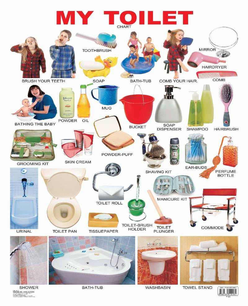 My Bathroom Reference Educational Wall Chart by Dreamland Publications ...