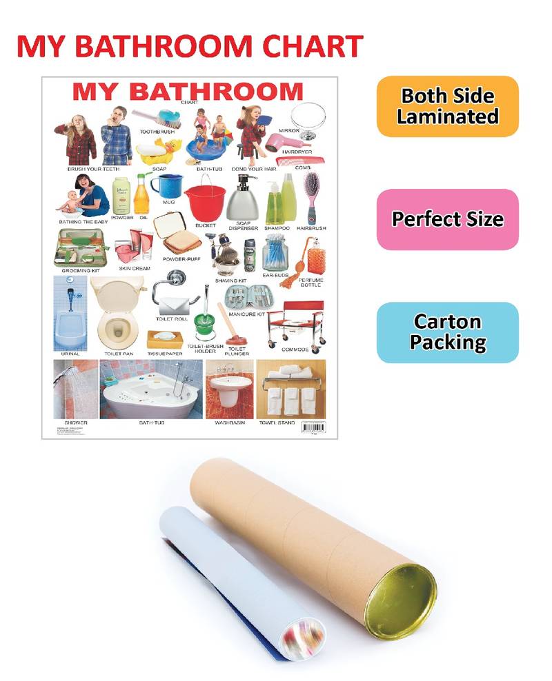 My Bathroom Reference Educational Wall Chart by Dreamland Publications ...