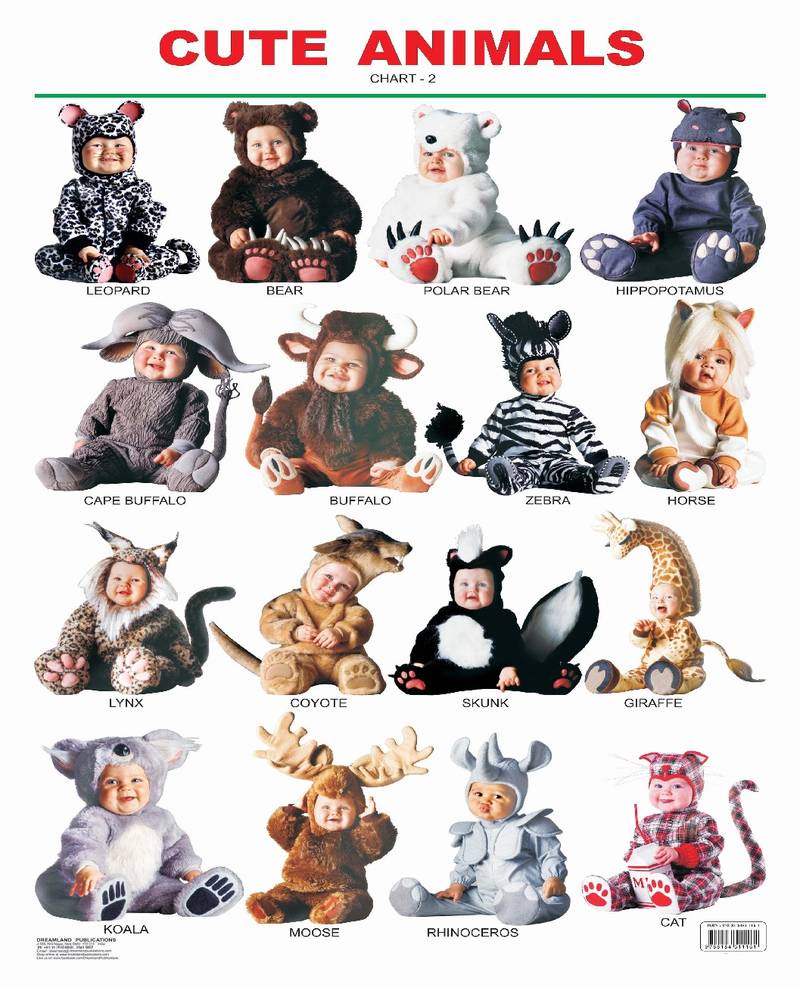 Cute Animals 2 Reference Educational Wall Chart by Dreamland ...