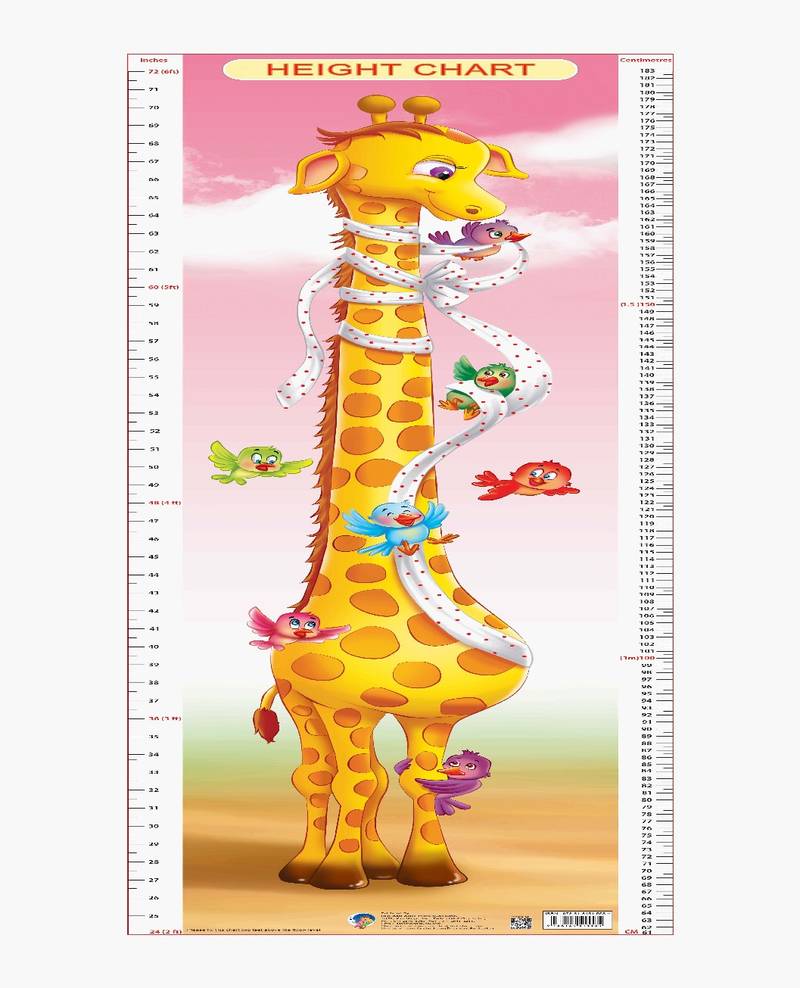 Height Chart 3 Reference Educational Wall Chart by Dreamland ...