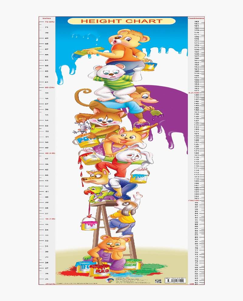 Height Chart 4 Reference Educational Wall Chart by Dreamland ...