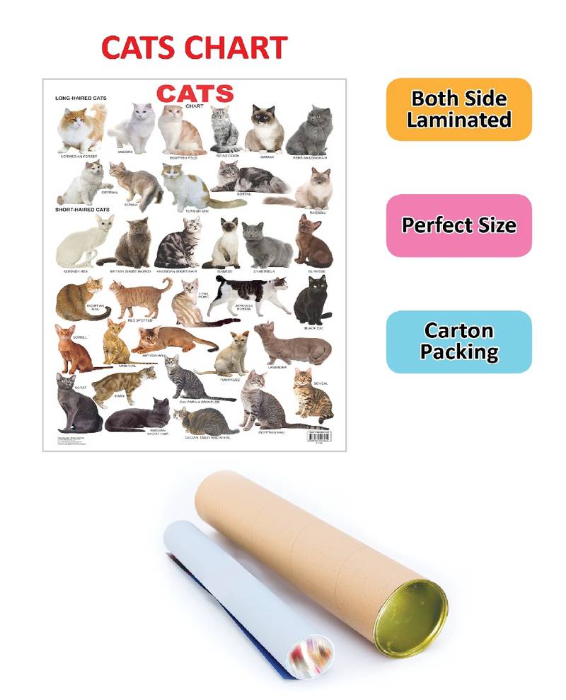 Cat Chart Reference Educational Wall Chart by Dreamland Publications ...