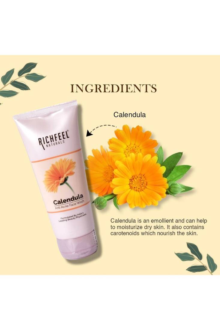 Richfeel Anti Acne Face Wash 100 G - Richfeel - 4016002
