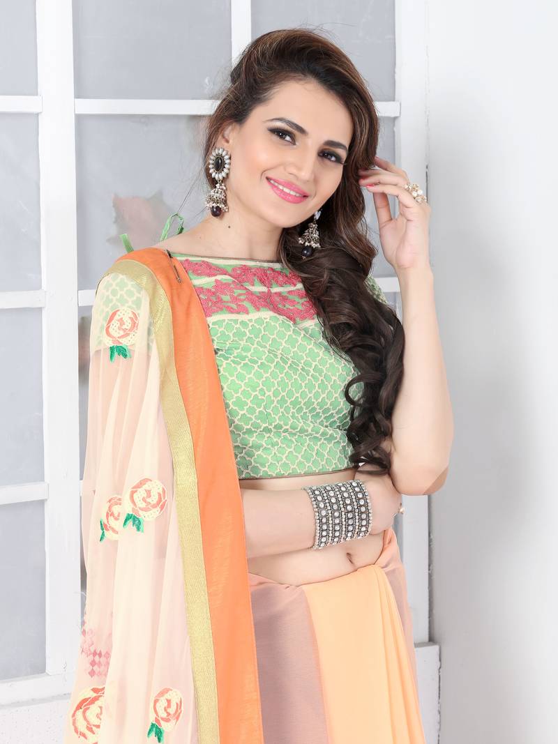 Multicolor embroidered georgette saree with blouse - Gokul Vastra - 1644302