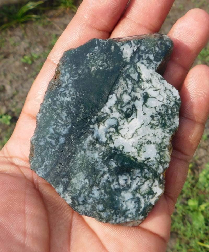 462.1 Cts Untreated 100% Natural Tree Moss Agate 82X58X10 Mm Slice ...