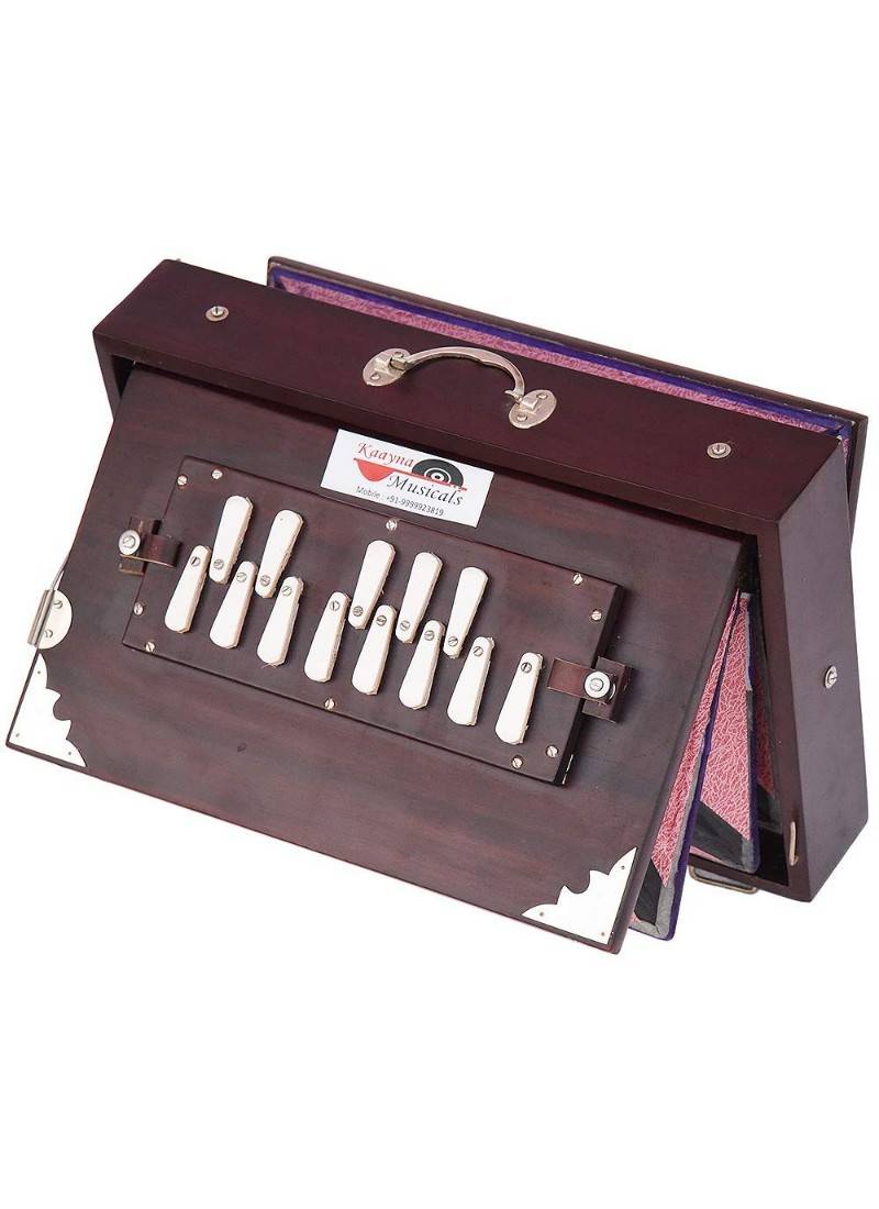 Shruti Box Teak Wood Size 15" X 10" X 3" Tuned: 440 Hz Gig Bag Dark ...