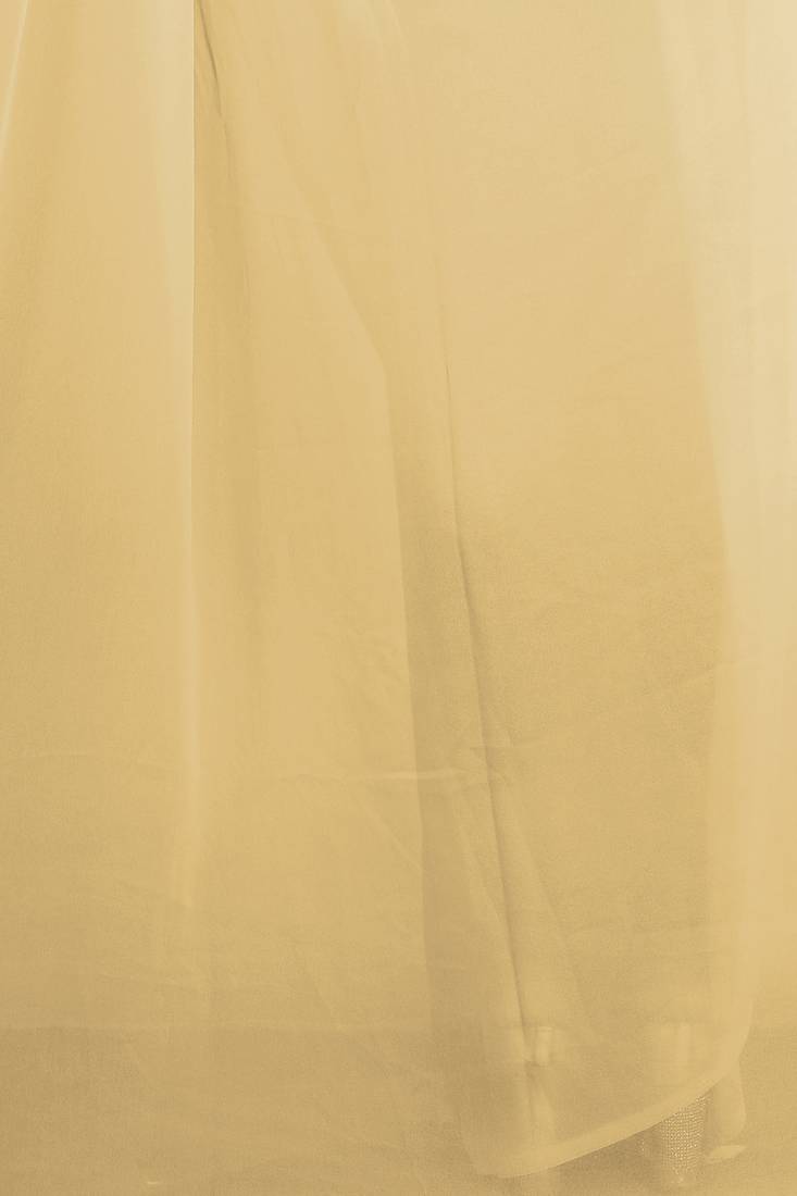 Light chiku plain georgette saree with blouse - Multi retail - 2752390